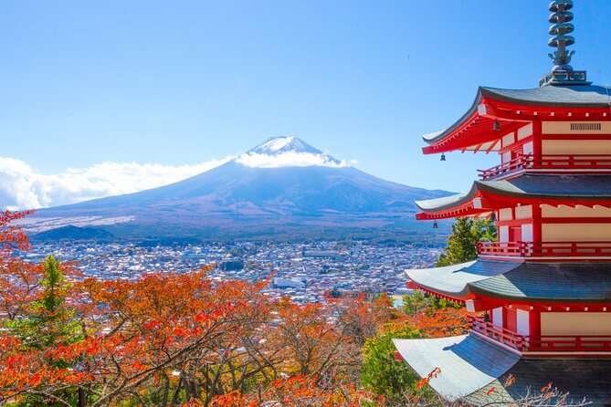 Mount Fuji Full Day Sightseeing Tour From Tokyo - Areas for Improvement