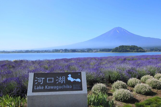 Mount Fuji Full Day Sightseeing Tour From Tokyo - Exploring Lake/Park