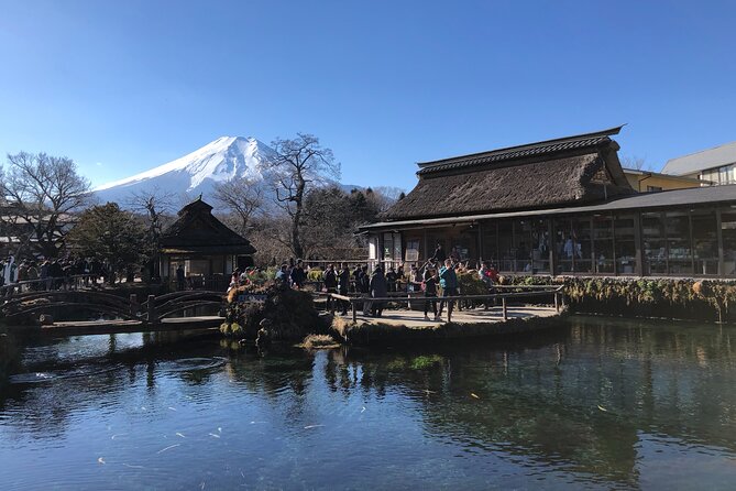 Mount Fuji Full Day Sightseeing Tour From Tokyo - Customer Experiences and Feedback