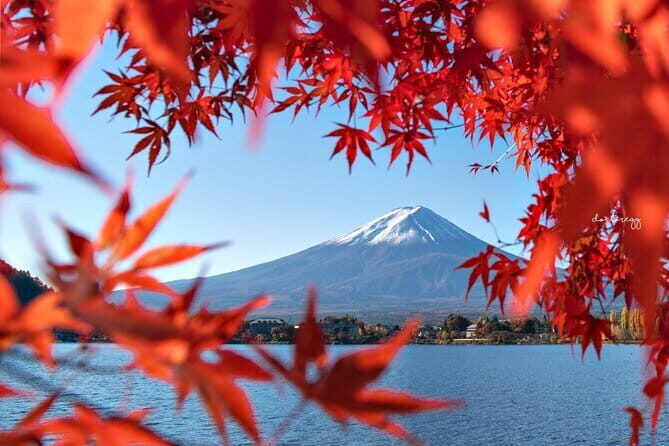 Mount Fuji Full Day Tour form Tokyo Lake Kawaguchi & Yamanaka - The Sum Up: Is It Worth It?