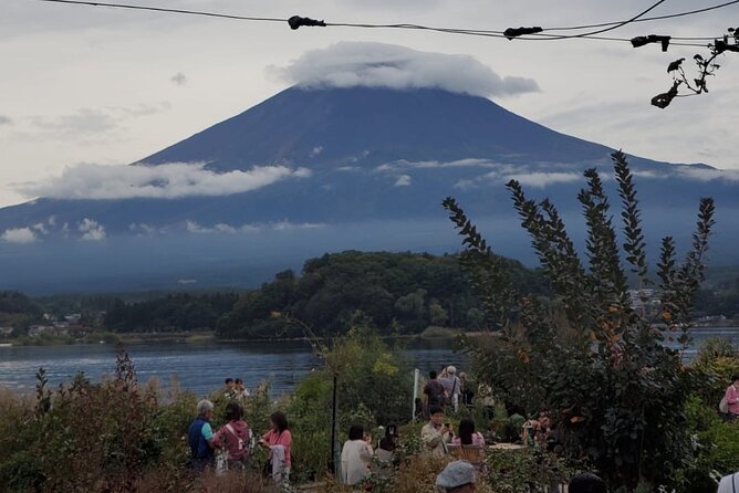 Mount Fuji & Hakone Customize Private Tour - Traveler Feedback and Experience