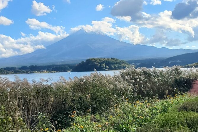 Mount Fuji & Hakone Customize Private Tour - Itinerary and Activities