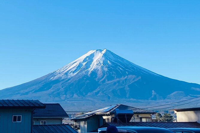 Mount Fuji & Hakone Customize Private Tour - Customization Options