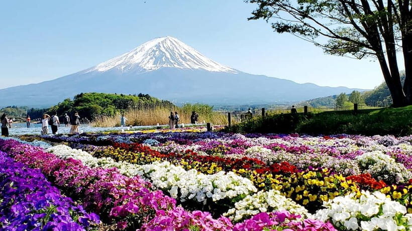 Mount Fuji & Hakone Full-Day Private Tour (Customizable) - Who Is This Tour Best For?