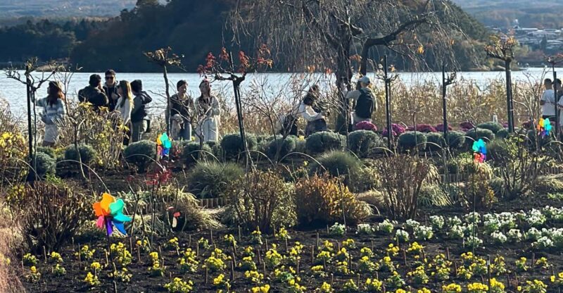 Mount Fuji & Hakone One Day Private Tour With English Driver - Key Points