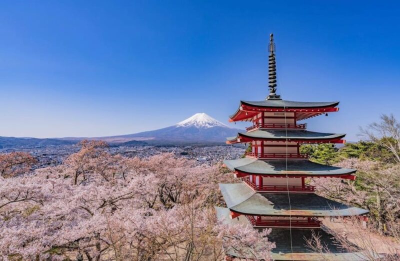 Mount Fuji & Hakone One Day Private Tour With English Driver - Booking and Cancellation