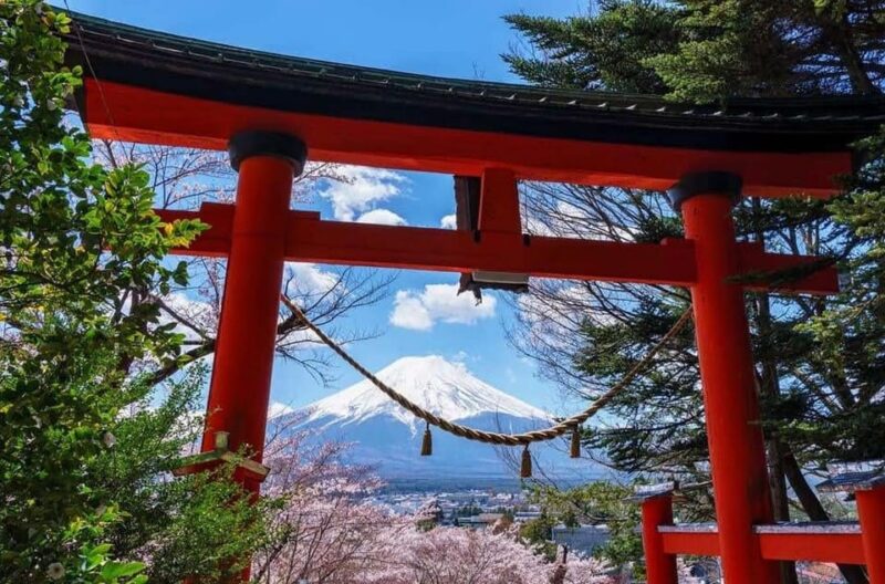 Mount Fuji & Hakone One Day Private Tour With English Driver - Customizable Itinerary