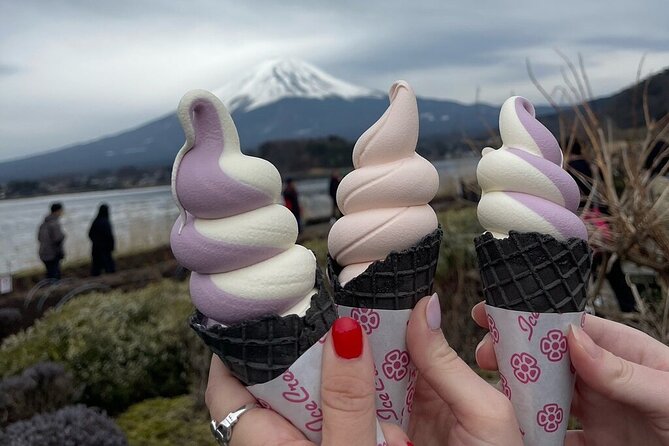 Mount Fuji & Hakone Private Customized Sightseeing English Trip - Key Points