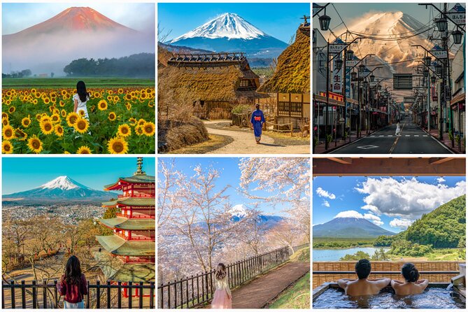 Mount Fuji & Hakone Private Customized Sightseeing English Trip - Inclusions and Pricing
