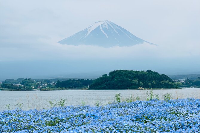 Mount Fuji & Hakone Private Customized Sightseeing English Trip - Highlights of the Tour