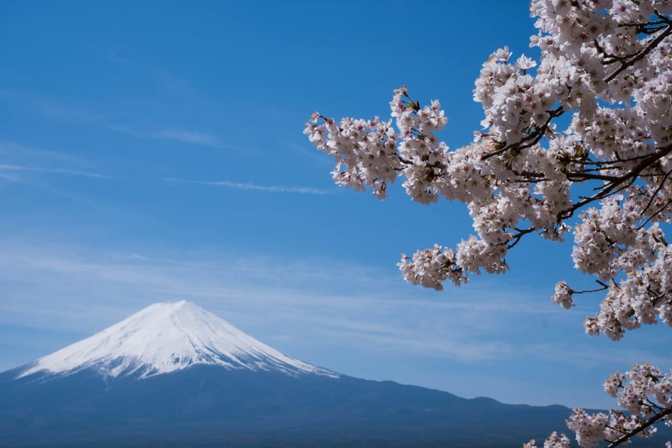 Mount Fuji & Hakone Private Tour - Booking and Cancellation Policy