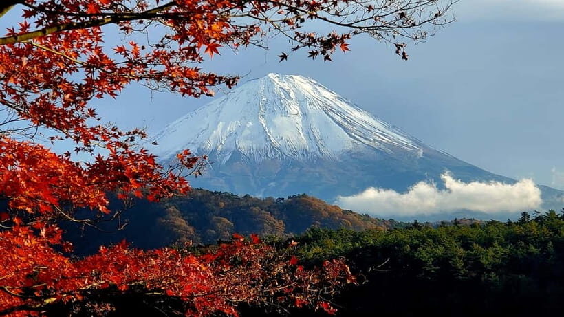 Mount Fuji & Hakone Private Tour with Bullet Train Return - Overview of the Tour Experience