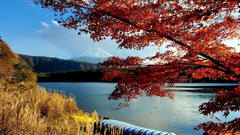 Mount Fuji & Hakone Private Tour with Bullet Train Return - Whats Included and Whats Not