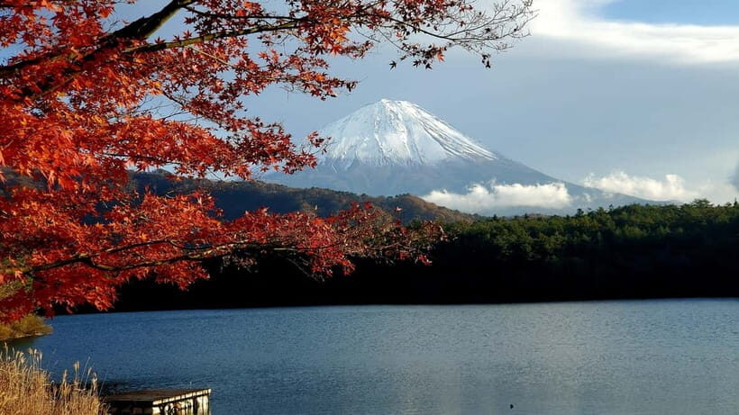 Mount Fuji & Hakone Private Tour with Bullet Train Return - Who Should Consider This Tour?