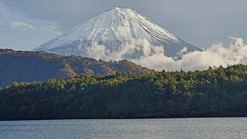 Mount Fuji & Hakone Private Tour with Bullet Train Return - The Sum Up