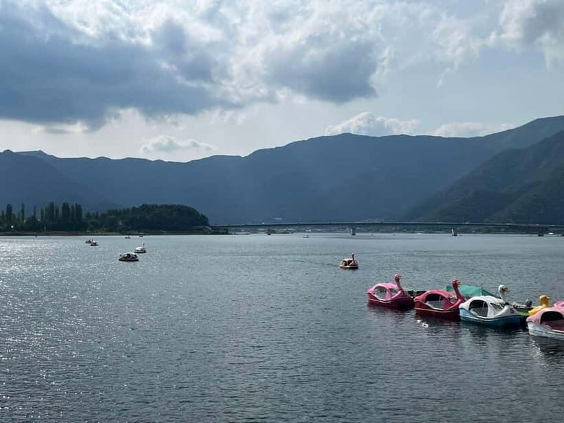 Mount Fuji & Hakone Private Tour with Cherry Blossoms - Practical Tips for Travelers
