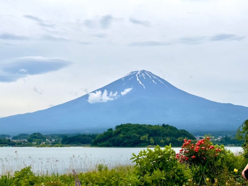 Mount Fuji Hakone With English-Speaking Guide - Hakone Shrine and Tori Gate