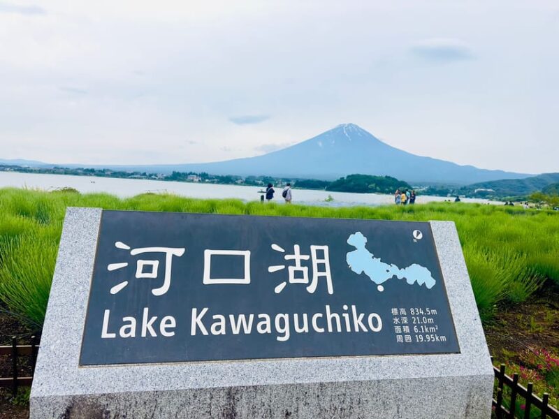 Mount Fuji Hakone With English-Speaking Guide - Black Egg Spot and Thermal Pools