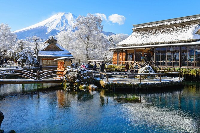Mount Fuji & Hokane Lakes With English-Speaking Guide - Customizable Itinerary and Flexible Options
