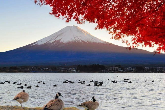 Mount Fuji & Lake Kawaguchi Group Day Tour from Tokyo - Exploring the Tour Itinerary