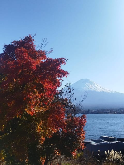Mount Fuji-Lake Kawaguchi Private Tour With Bilingual Driver - Key Points