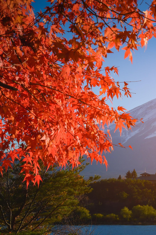 Mount Fuji: Mt.Fuji Private Day Tour English Speaking Driver - Pickup and Dropoff Locations