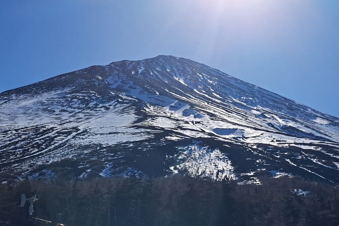 Mount Fuji (Mt. Fuji) Private Tour by Car With Pickup From Tokyo - Pricing and Booking Information