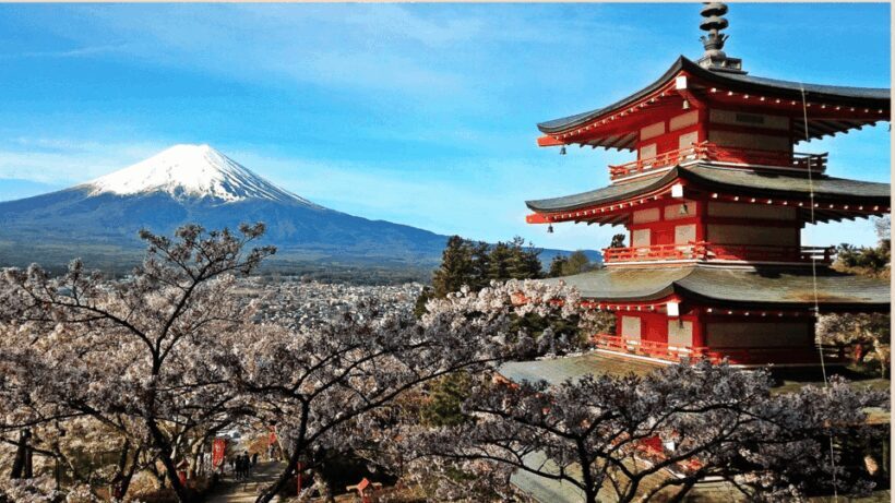 Mount Fuji One Day Private Tour With English Speaking Driver - Key Points