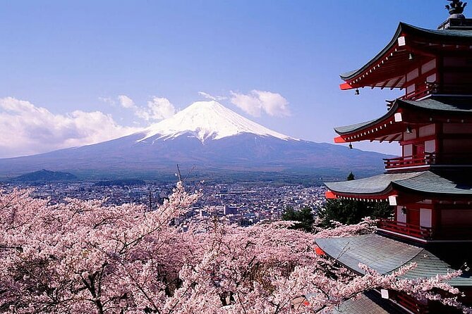 Mount Fuji Private Day Tour With English Speaking Driver - Pickup and Transportation Details