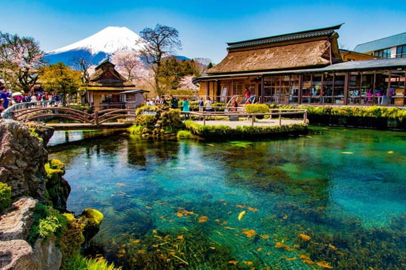 Mount Fuji: Private Full day Tour (Customizable) Eng driver - Final Thoughts