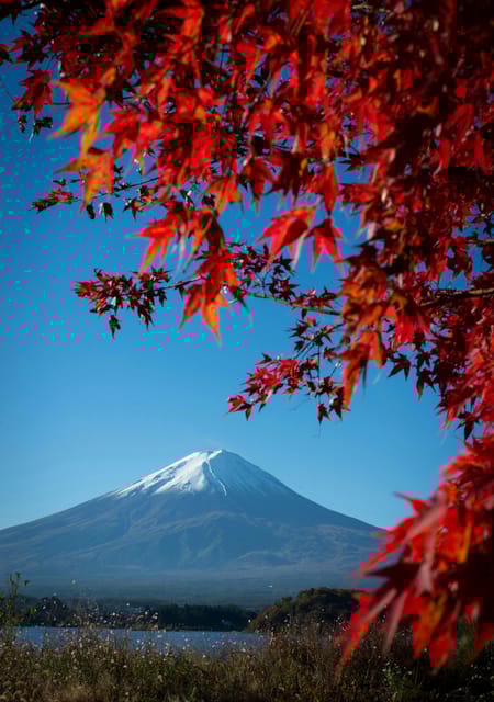 Mount Fuji Private Full Day Tour From Tokyo by Car or Van - Pickup and Transportation