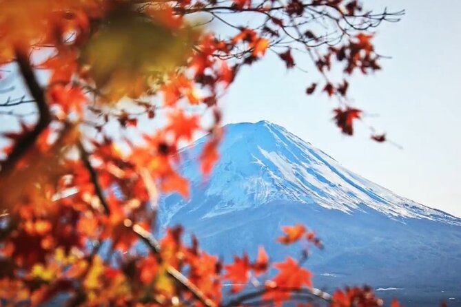 Mount Fuji Private Tour - Key Points