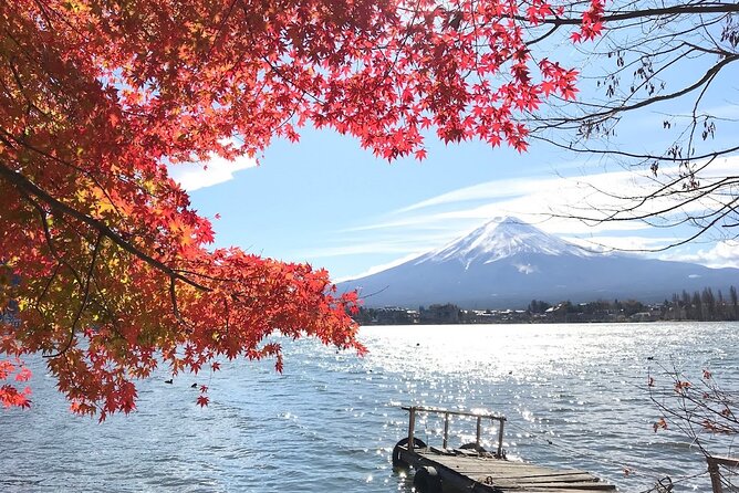 Mount Fuji Private Tour - Booking Details