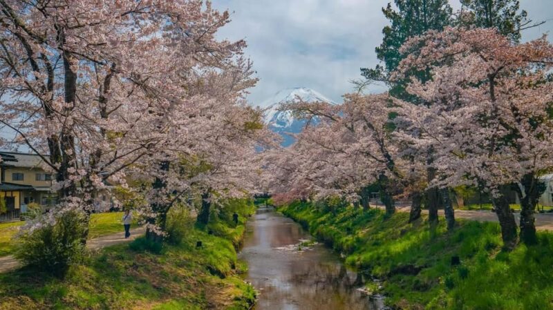 Mount Fuji Private Tour With English Speaking Driver/Guide - Itinerary Highlights