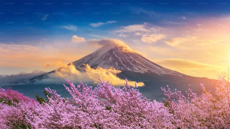 Mount Fuji Private Tour With English Speaking Driver - Accessibility and Restrictions