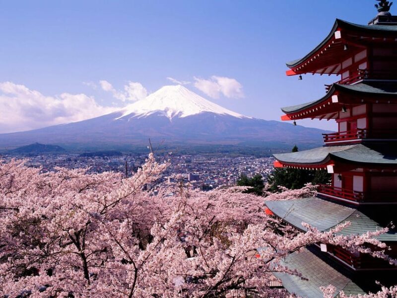 Mount Fuji Pvt. Full Day Trip With English-Speaking Driver - Highlights of the Itinerary