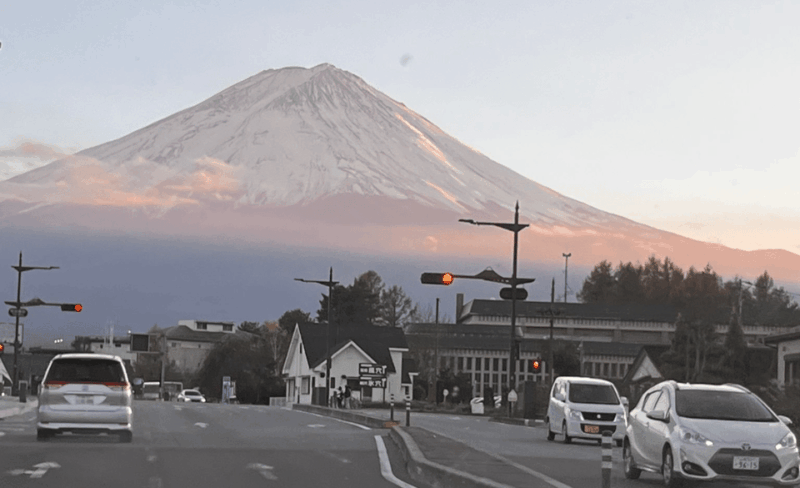 Mount Fuji Sightseeing Tour With English Speaking Guide - Inclusions and Fees