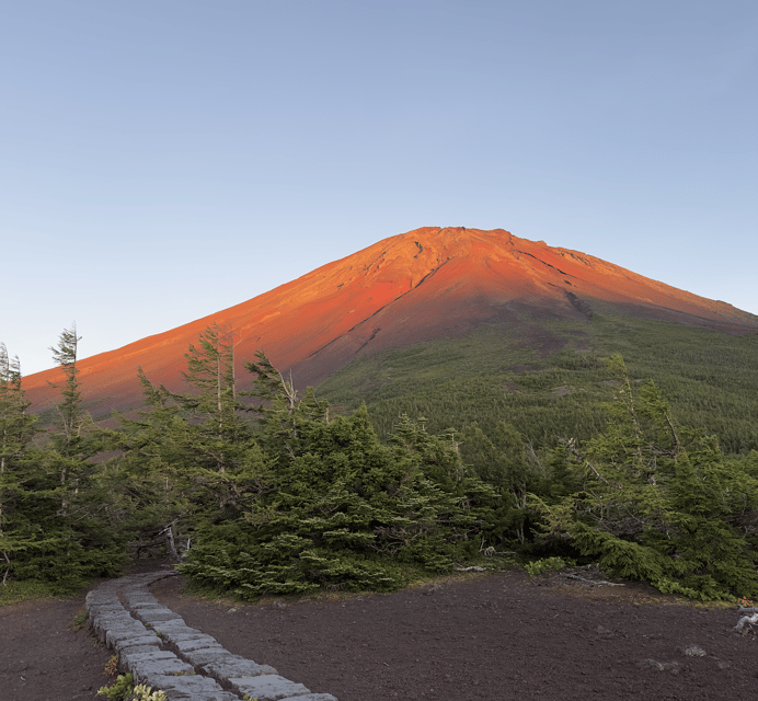 Mount Fuji Tour From Tokyo With English Speaking Guide - Pickup and Transportation