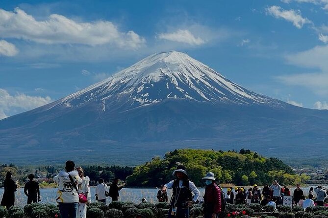 Mount Fuji(Fuji San) Private Day Trip With English Speaking Guide - Pickup Details and Accessibility