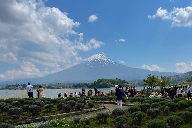 Mount Fuji(Fuji San) Private Day Trip With English Speaking Guide - Traveler Feedback and Experiences