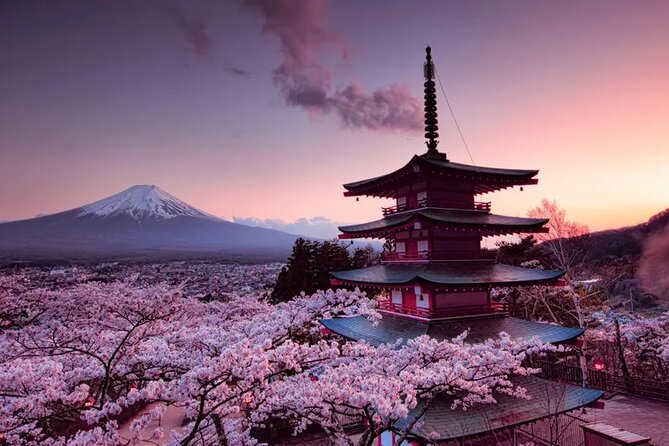 Mount Fuji(Fuji San) Private Day Trip With English Speaking Guide - Customizable Itinerary and Flexibility