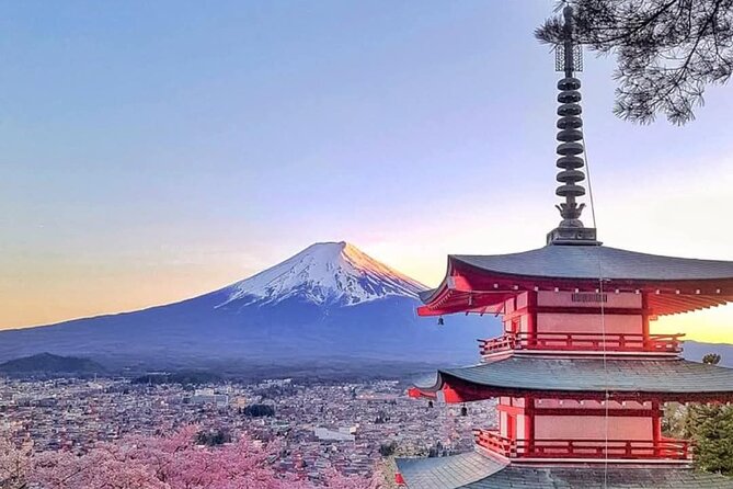 Mount Fuji(Fuji San) Private Trip With English Speaking Driver - Key Points