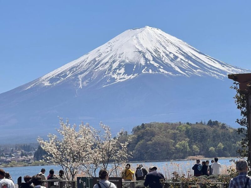 Mount Fuji,Lake Kawaguchiko Private Tour by Car - Frequently Asked Questions