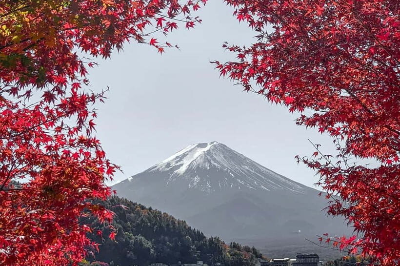 Mount Fuji,Lake Kawaguchiko Private Tour By Car With Pick Up - Detailed Breakdown of the Itinerary