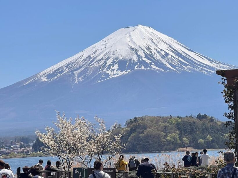 Mount Fuji,Lake Kawaguchiko Private Tour By Car With Pick Up - Reflection on the Experience Based on Reviews