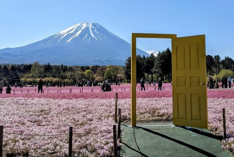 Mount Fuji,Lake Kawaguchiko Private Tour By Car With Pick Up - The Sum Up