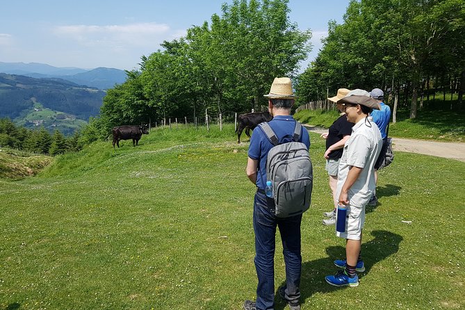Mount Hernio Hiking Tour from San Sebastian - Who Will Love This Tour?