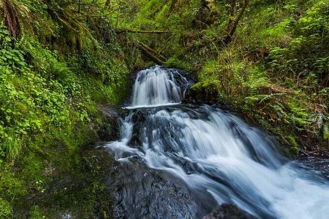 Mount Hood Loop Scenic Drive Self Guided Audio Tour - Who Is This Tour Best For?