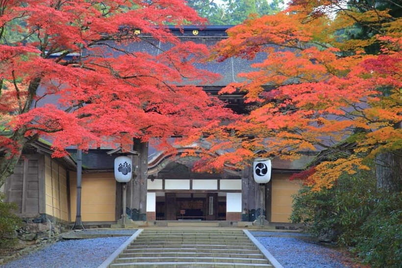 Mount Koya from Osaka: Cultural Small Group Day Tour - A Deep Dive into the Mount Koya Experience