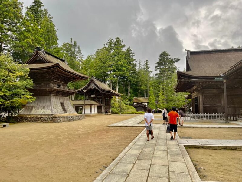 Mount Koya: Full-Day Private Guided Tour From Osaka - Tour Features